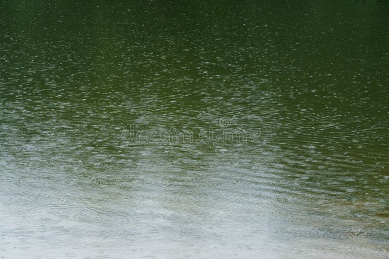 It S Raining, Drops are Falling on the Surface of the Water, an Autumn ...