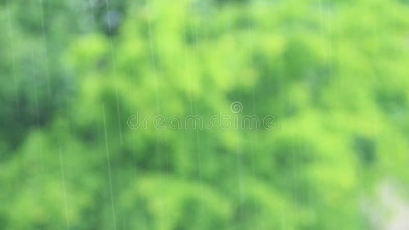It S Raining Outdoor in the Park Stock Video - Video of drip, drop ...