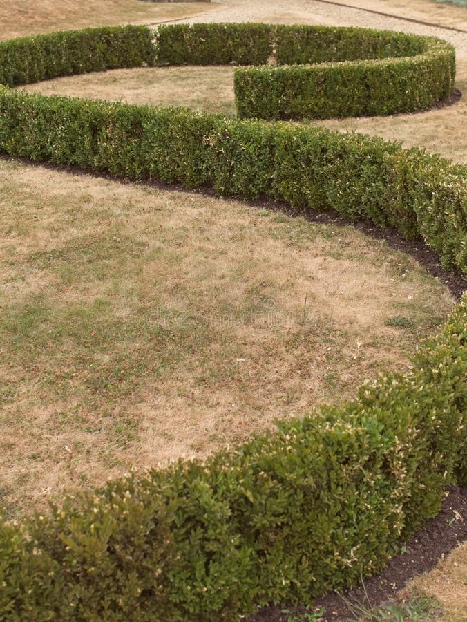 S Shaped Shrubbery, Abstract Image of Formal Garden Stock Photo - Image ...