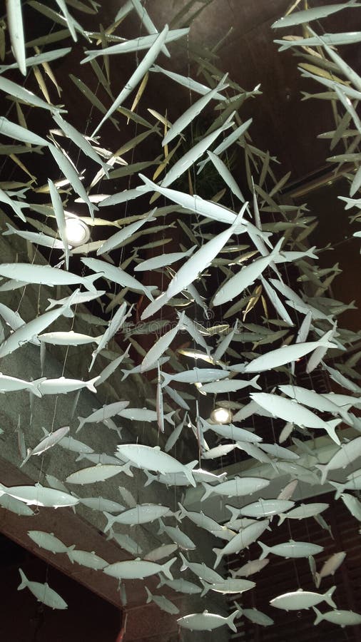 It s very fishy stock image. Image of fish, fishy, ceiling - 50486067