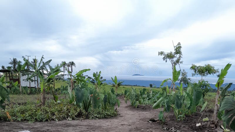That S the View of Mt. Turu Stock Image - Image of view, vegetation ...