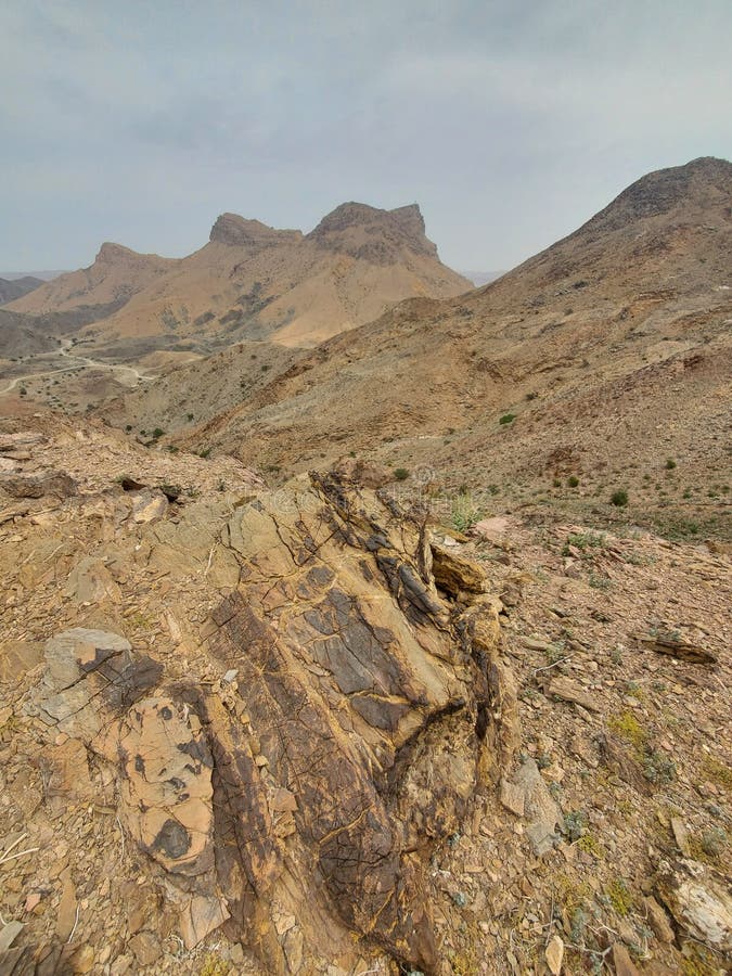 Sa Al Mountains , Muscat, Oman Stock Photo - Image of branch, wood ...