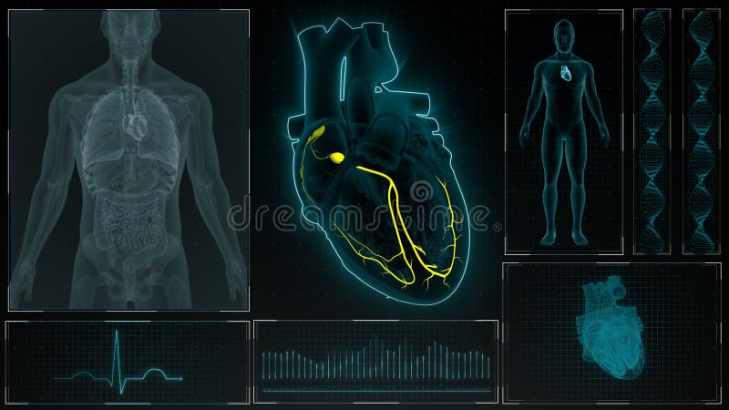 Sa Node Stock Illustrations – 36 Sa Node Stock Illustrations, Vectors ...