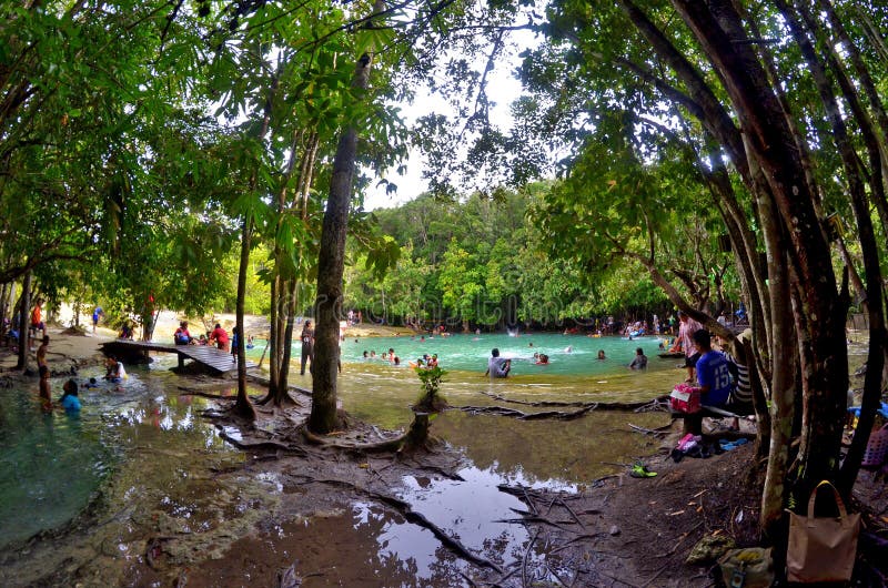 Sa Morakot, Emerald Pool, Krabi, Thailand Editorial Stock Photo - Image ...