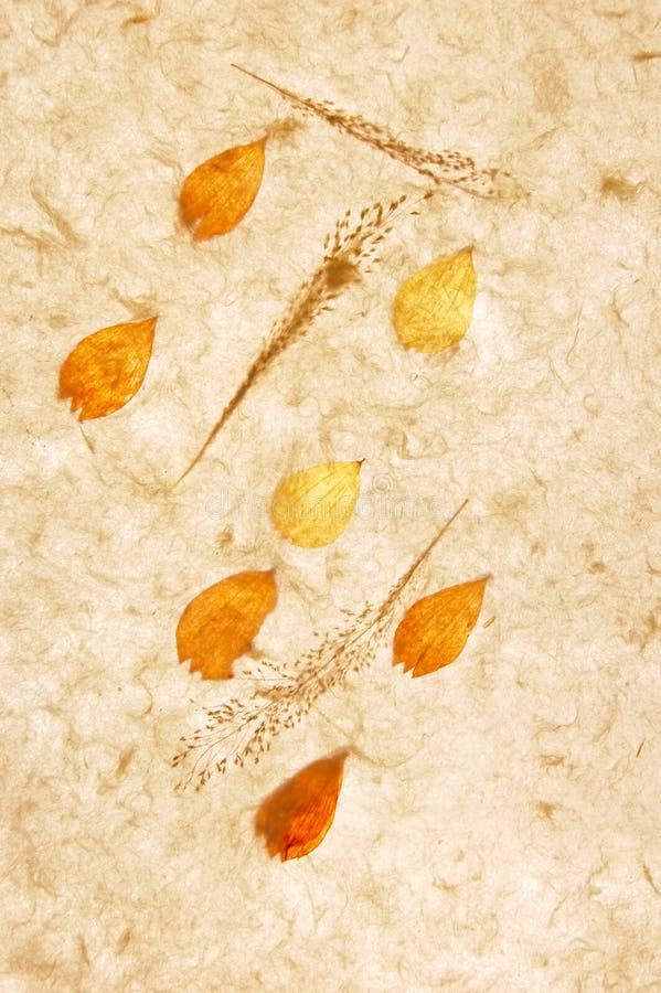 Sa paper stock image. Image of paper, leaf, background - 1483035