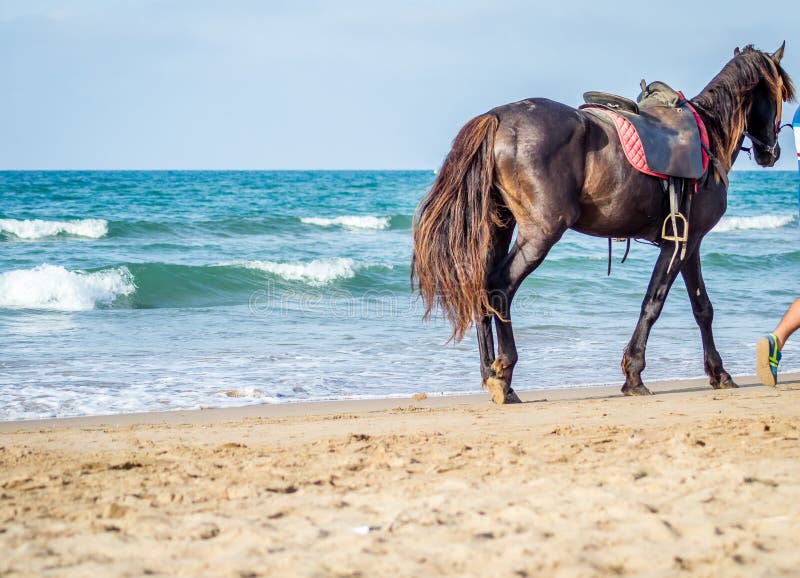 Saaidia Beach and Waves and Rocks Stock Image - Image of outdoor ...