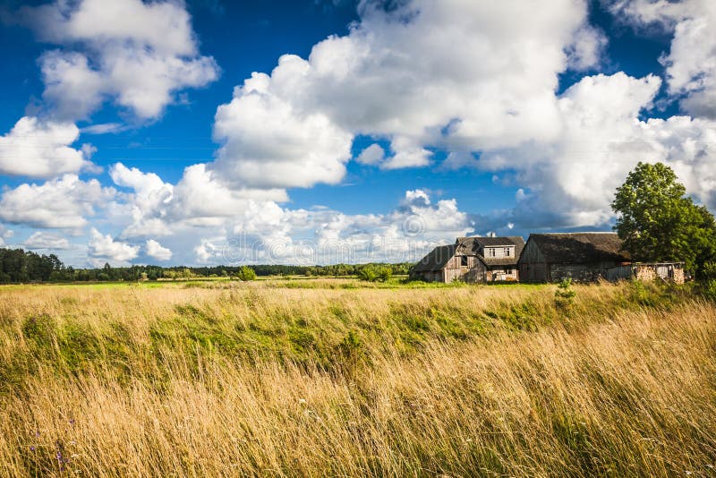 Saaremaa island, Estonia stock photo. Image of environment - 48535118