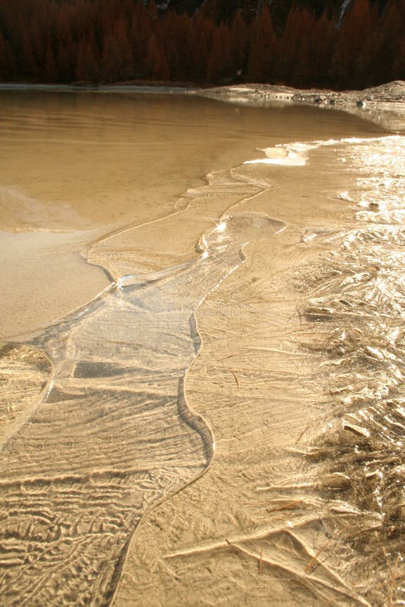 Saas fee forest autumn stock photo. Image of lake, landscape - 12566690