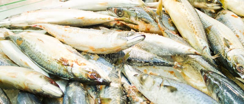 Saba fish stock photo. Image of meal, green, fried, barbecue - 27482254