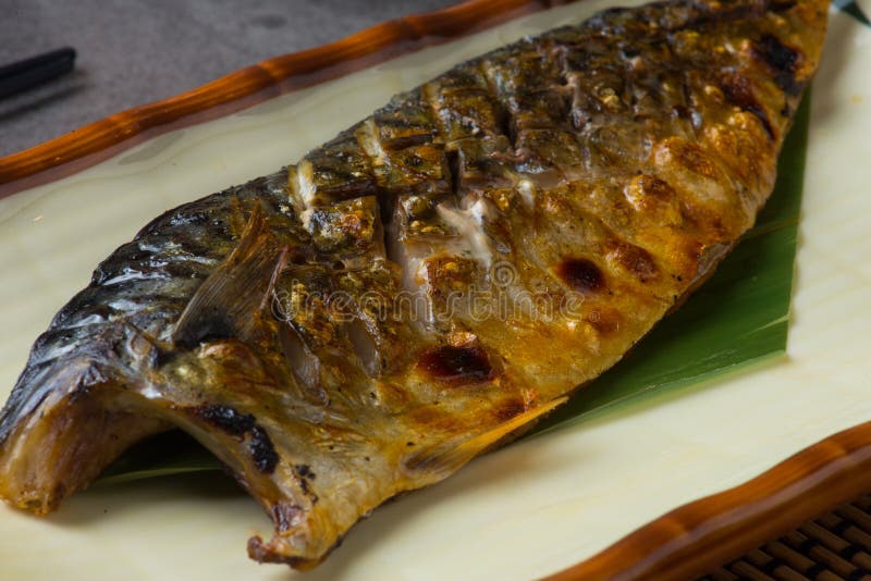 Saba Fish Grilled Japanese Food Stock Image - Image of pacific, culture ...