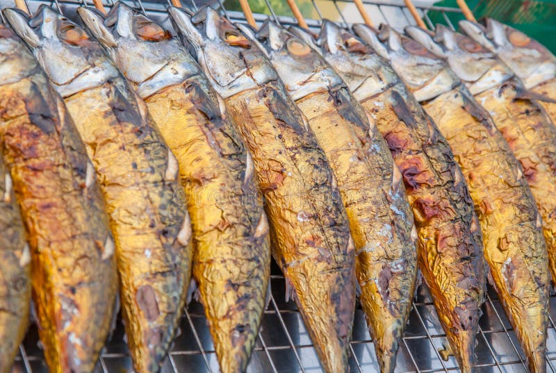 Saba fish stock photo. Image of dinner, japanese, food - 30791864