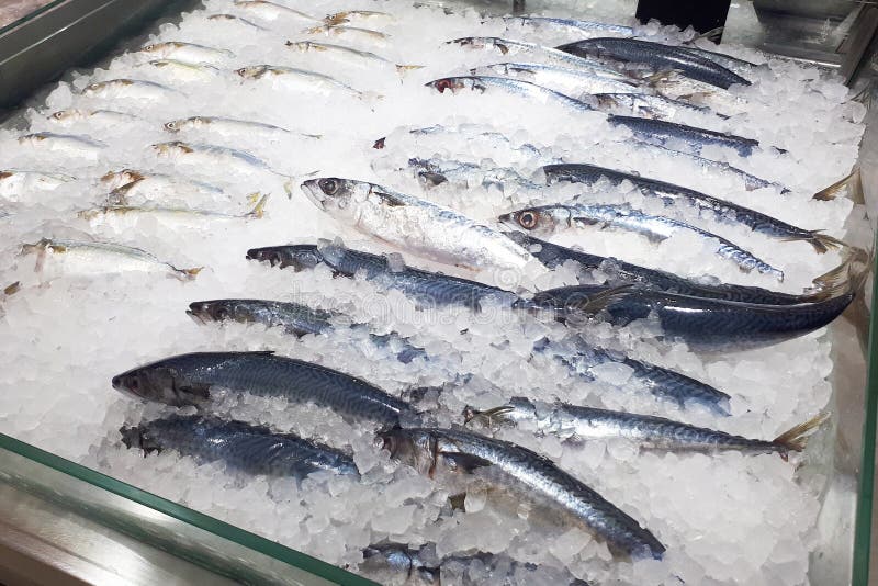 Saba Fish and Mackerel Fish Frozen on Ice at Supermarket Stock Image ...