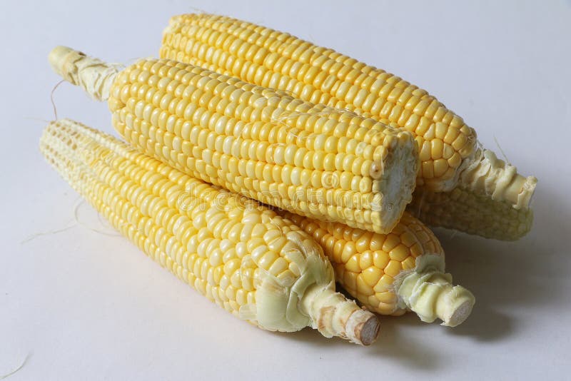 Sabah, Borneo Local Fresh Raw Sweet Corn Stock Photo - Image of produce ...