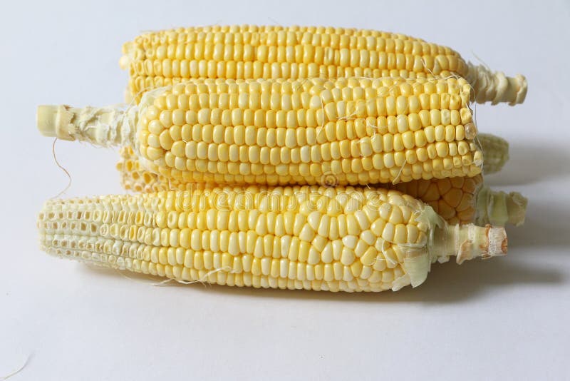 Sabah, Borneo Local Fresh Raw Sweet Corn Stock Photo - Image of healthy ...
