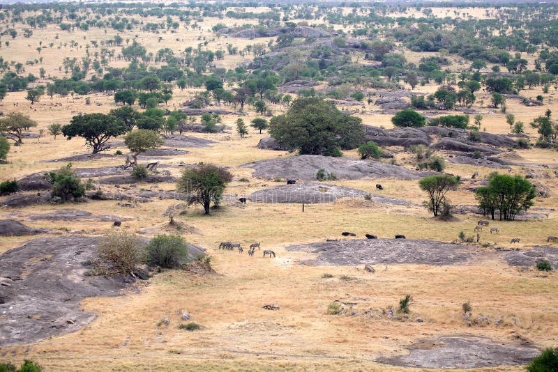 Sabana africana imagen de archivo. Imagen de paisaje - 34976319