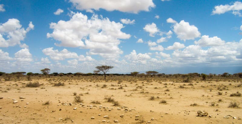 Panorama De La Sabana Africana En Serengeti Imagen de archivo - Imagen ...