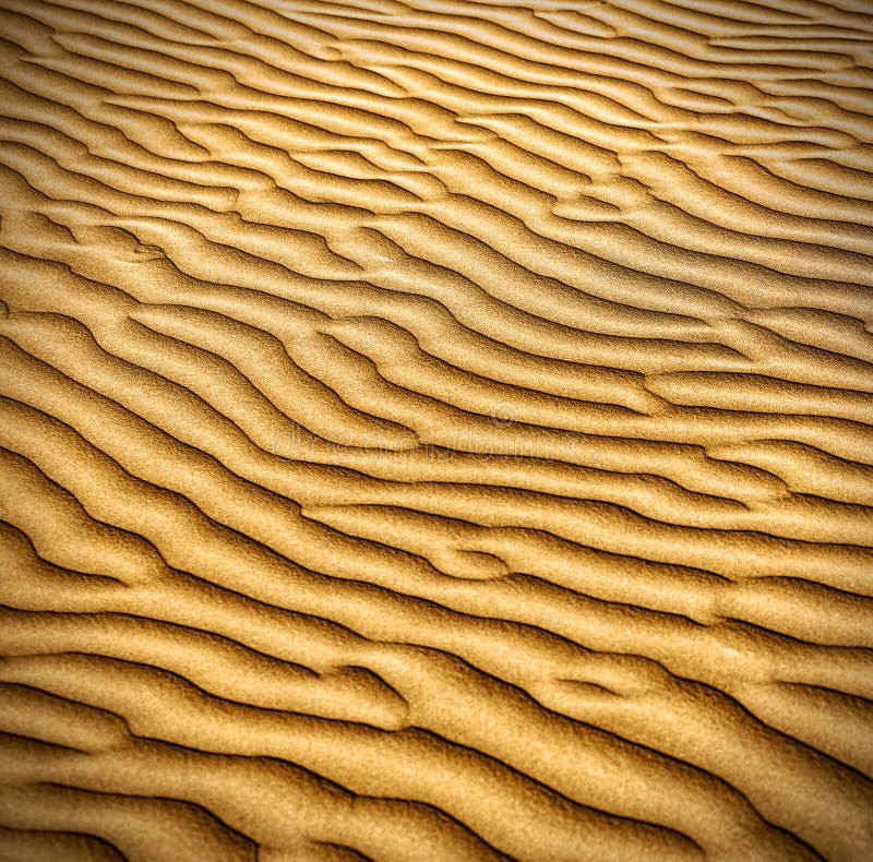 Sabbia E Dune Del Deserto Di Thar. Fotografia Stock - Immagine di ...