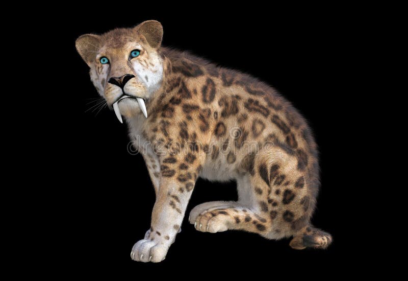 Sabertooth tiger stock illustration. Illustration of sabertooth - 117569178