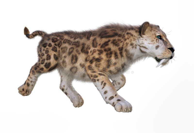 Sabertooth Black White Stock Illustrations – 56 Sabertooth Black White ...