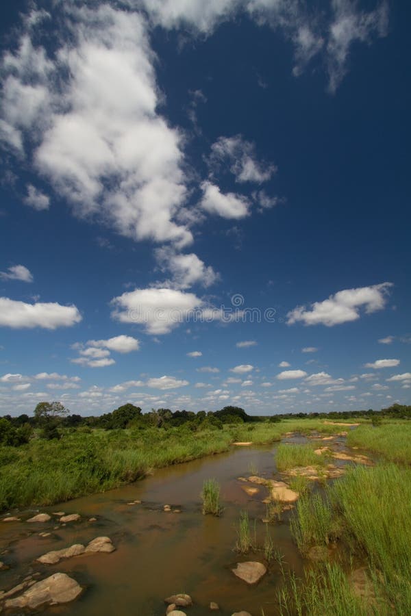 Riverbed Running Dry (South Africa) Stock Photo - Image of south ...
