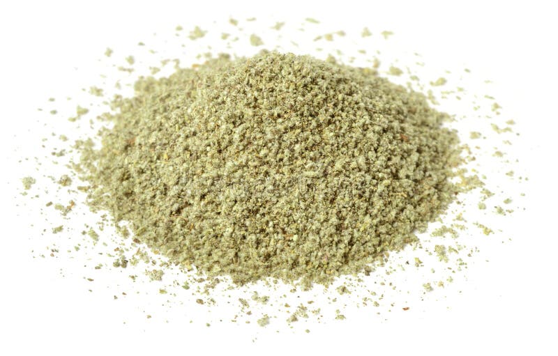 Sabio Frotado Aislado En Blanco Imagen de archivo - Imagen de crudo ...