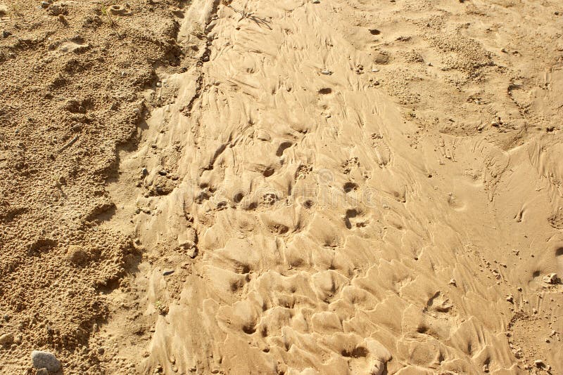 Sable image stock. Image du exotique, abstrait, littoral - 5343533