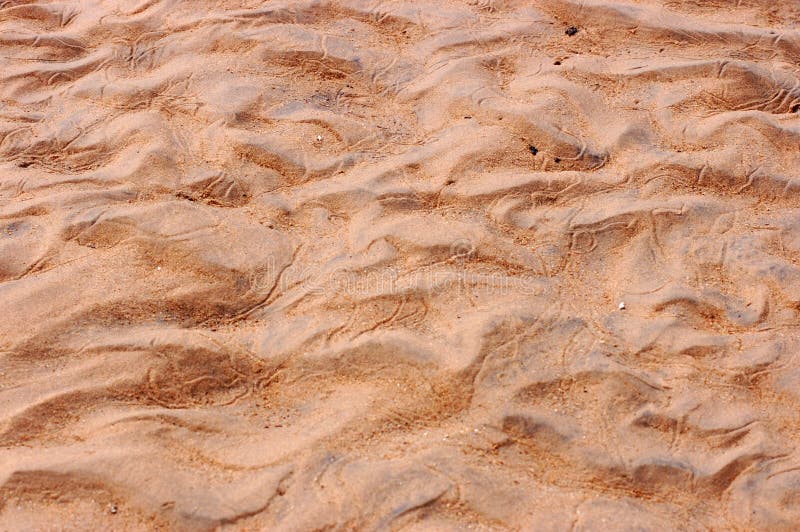 Sable image stock. Image du plage, milieux, nature, contextes - 598949
