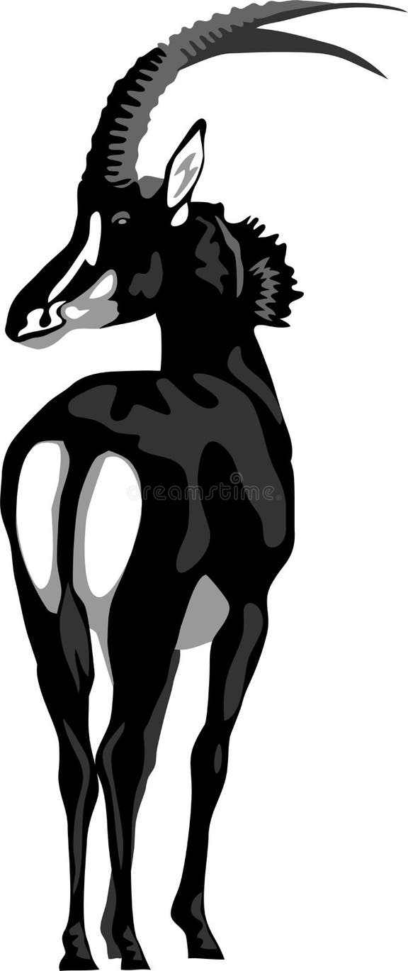 Sable Antelope Vector Illustration Stock Vector - Illustration of ...