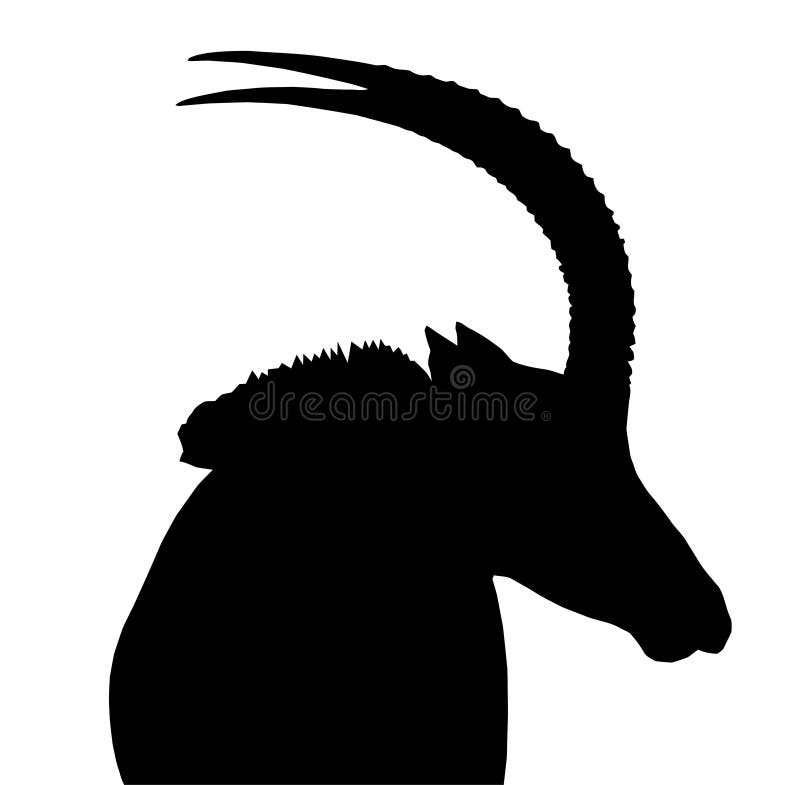 Sable Bull Portrait Side View Isolated Silhouette Stock Vector ...
