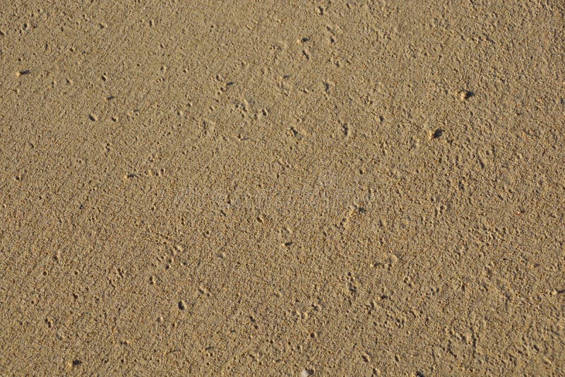 Sable De Plage De Grain Fin Photo stock - Image du beige, sable: 32651568