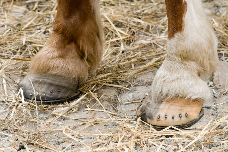 Sabot de cheval image stock. Image du ferme, sabot, trottoir - 20690947