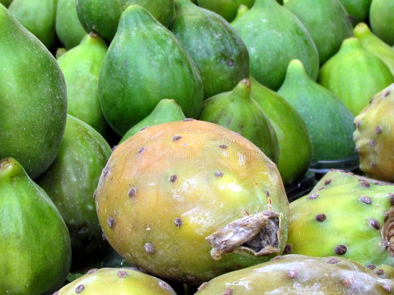 Sabra fruit stock photo. Image of spin, sabra, fruif - 101969346