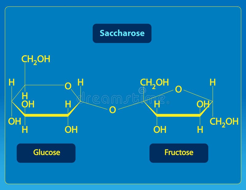 Fructose Sticks Molecular Model Stock Illustration - Illustration of ...
