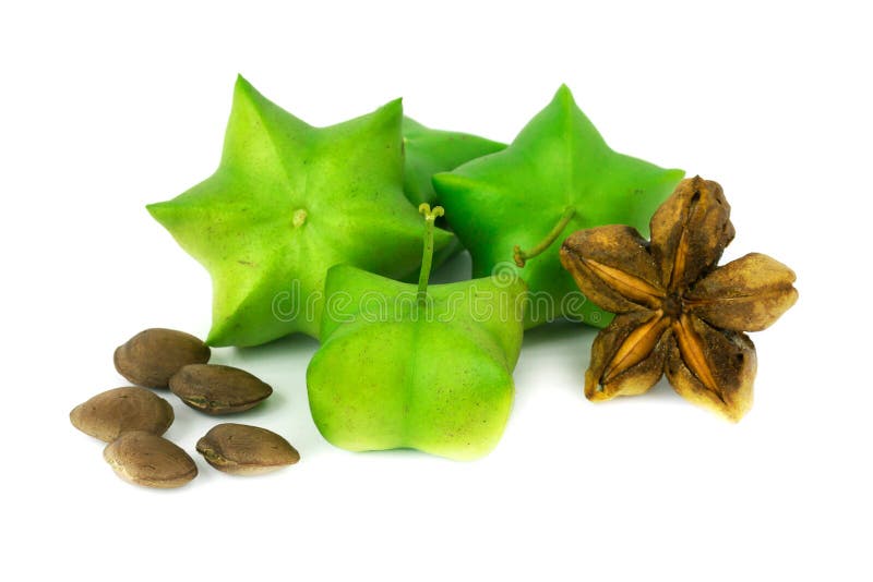 Sacha Inchi, Fresh Capsule Seeds Fruit of Sacha-Inchi Peanut Stock ...