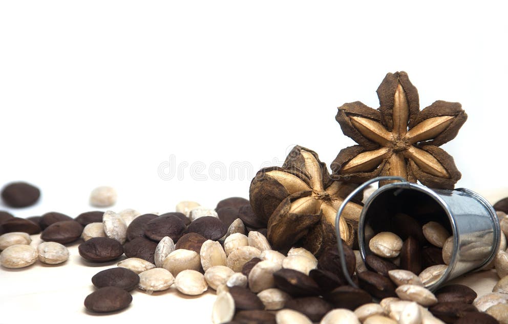 Sacha inchi stock image. Image of leaf, seed, high, volubilis - 88568081