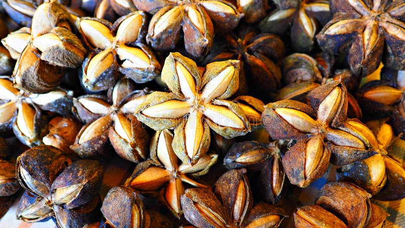 Sacha Inchi or Inca Nuts. Dried Sacha Inchi Nuts. Stock Photo - Image ...