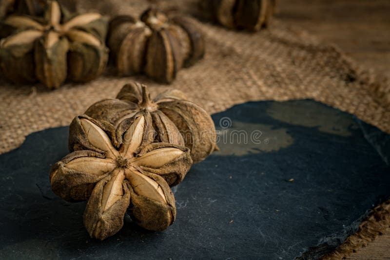 Sacha inchi nut stock photo. Image of agriculture, peanut - 88957422