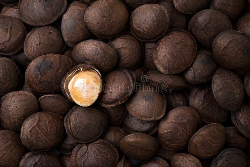 Sacha inchi peanut stock photo. Image of plant, protein - 84996798