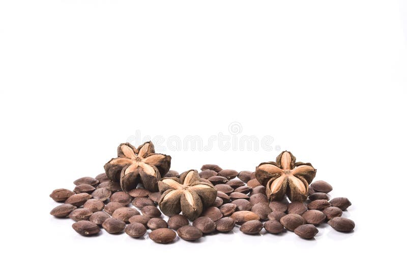 Sacha Inchi, Sacha Mani or Star Inca Peanut Seed on White Background ...