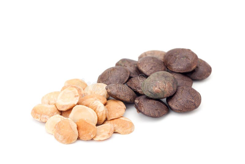 Sacha inchi seeds stock photo. Image of plukenetia, health - 78412294