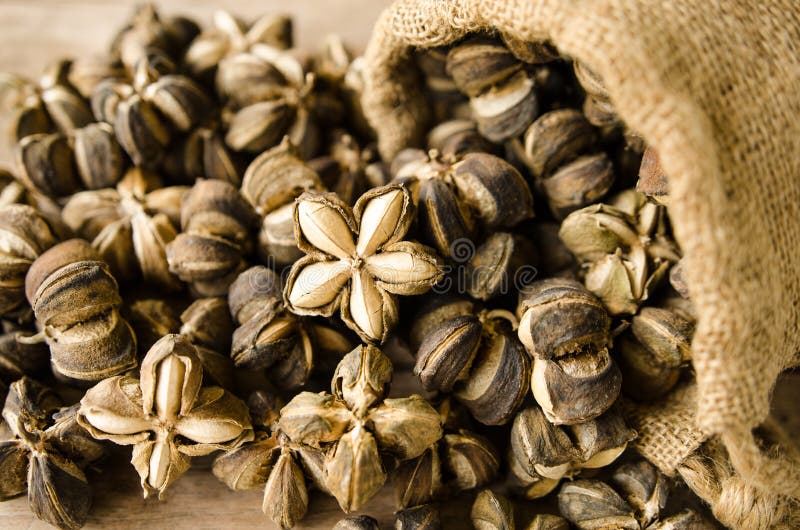 Sacha inchi seeds stock photo. Image of vitamin, iodine - 69834454