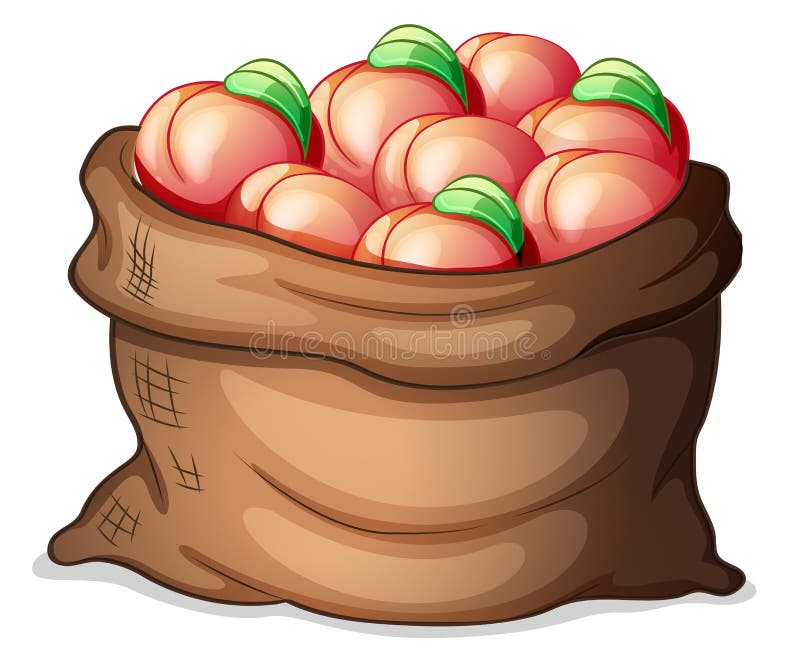 Wooden bucket_apples stock vector. Illustration of apple - 18211752 Wooden bucket_apples stock vector. Illustration of apple - 18211752