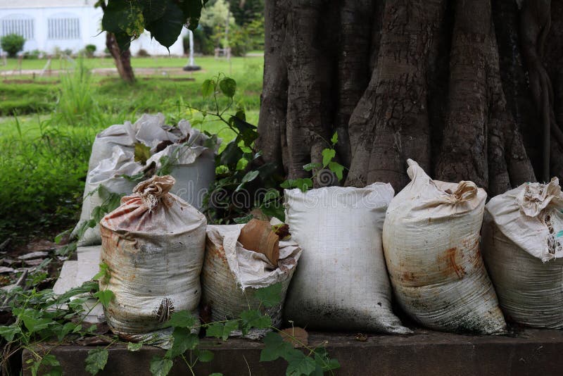 Sack Bags Filled with Sand for Flooding. Stock Image - Image of plant ...