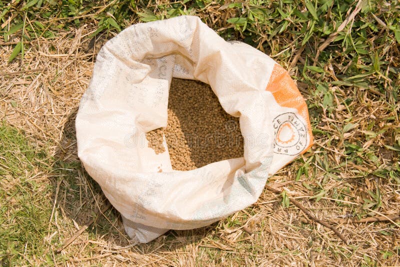 Fish Feed Bait. Fish Set Isolated on White Background. Feeding Fish ...