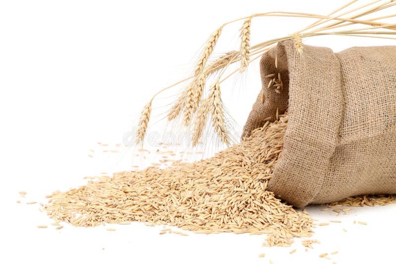 Sacks of wheat grains stock photo. Image of open, sack - 17304768