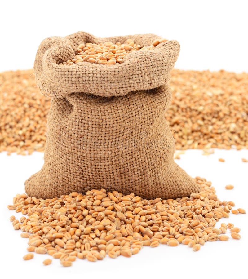 Sack with grain stock image. Image of harvest, macro - 144817877