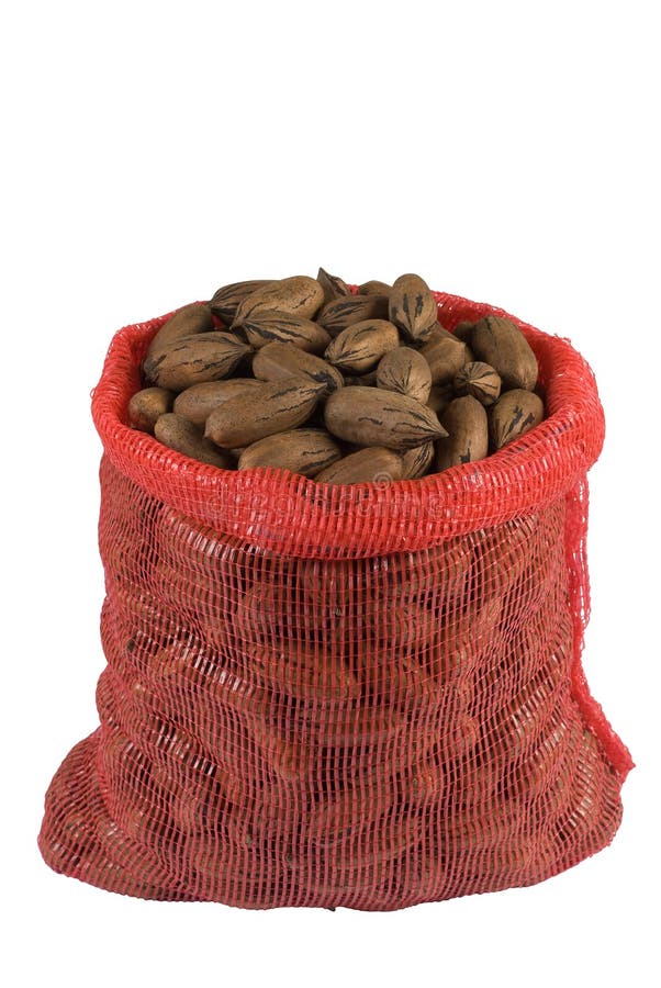 A sack of pecan nuts stock photo. Image of brown, sack - 3690348