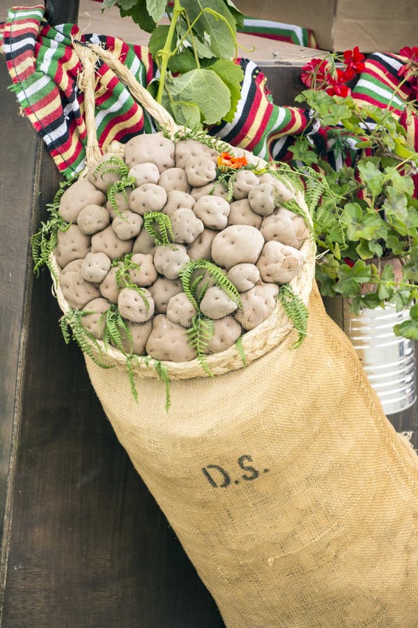 Sack of Potatoes stock photo. Image of rustic, organic - 8809406