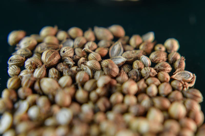 Sack Whole Coriander Seeds Photo Stock Photo - Image of coriander ...