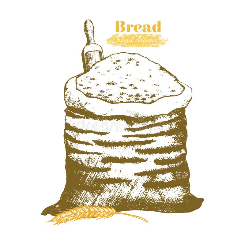 Sack With Whole Flour. Hand Drawn Sketch Style. Stock Vector ...